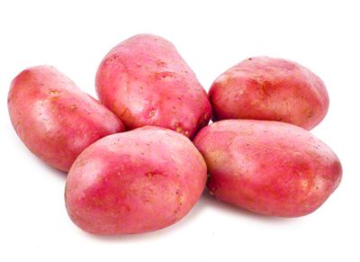 Ruby Gold Potatoes, Small, by lb | Central Market - Really Into Food