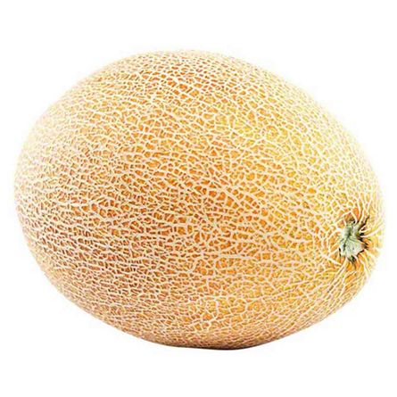 Fresh Golden Hami Melon, Each | Central Market - Really Into Food