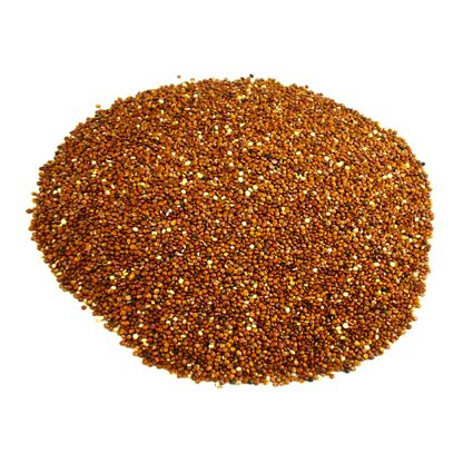 Bulk Organic Red Quinoa, by lb – Central Market
