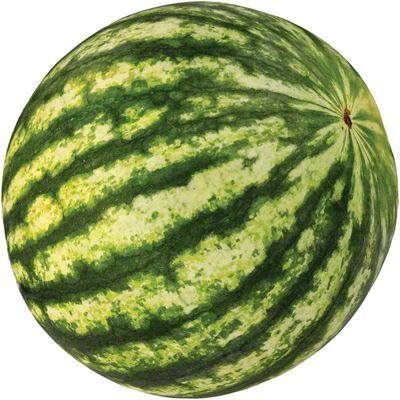 Fresh Organic Mini Personal Watermelon, Whole | Central Market - Really ...