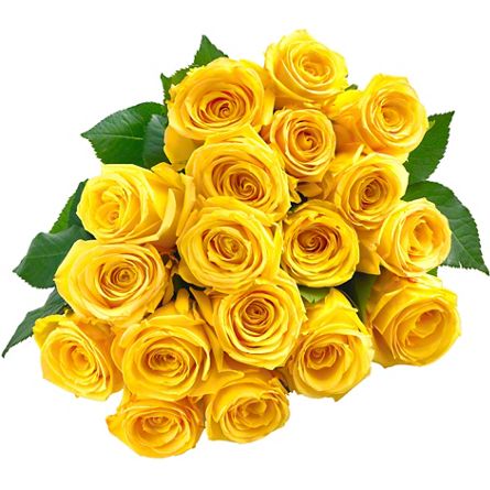 Central Market Rose Bunch, 18 Stem | Central Market - Really Into Food