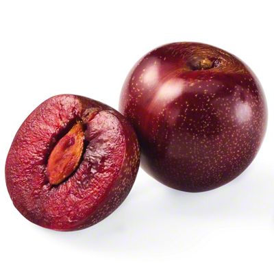 Fresh Red Plumcot | Central Market - Really Into Food