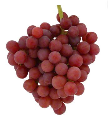 Fresh Holiday Red Seedless Grapes | Central Market - Really Into Food