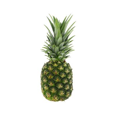 Fresh Personal-Size Pineapple, Each | Joe V's Smart Shop | Low Prices ...