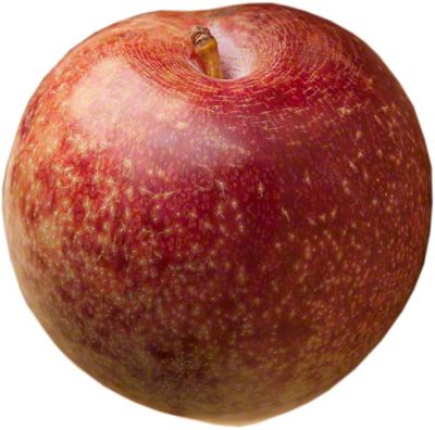 Fresh Dapple Fire Plumcot | Central Market - Really Into Food