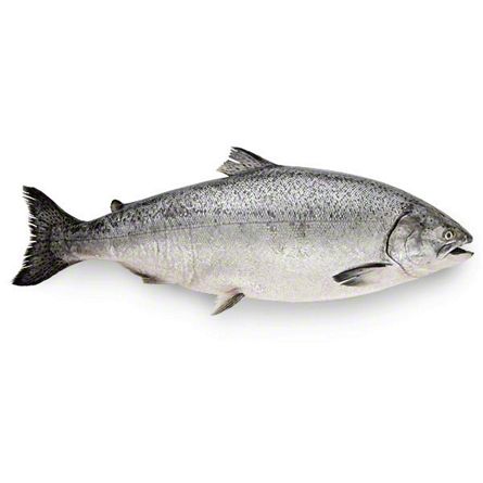 Wild Caught Coho Salmon Whole | Central Market - Really Into Food