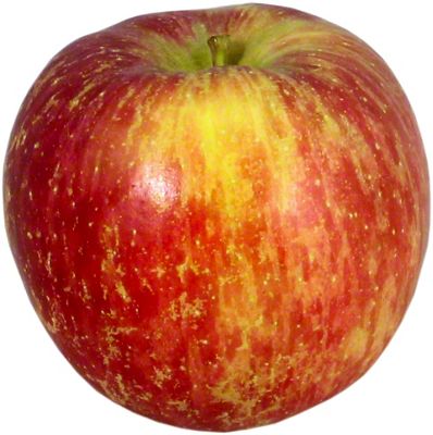 Diva Apples | Central Market - Really Into Food