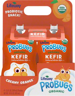 Lifeway Probugs 4PK Creamy Orange, 14 OZ | Central Market - Really Into ...