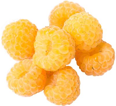Premium Golden Raspberries, 1/2 pt | Central Market - Really Into Food