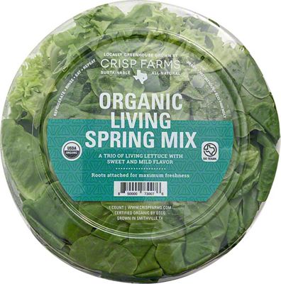 Fresh Organic Trio Of Spring Mix, 5 oz | Central Market - Really Into Food