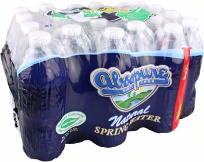 Absopure Natural Spring Water 16.9 oz Bottles, 24 pk | Central Market ...