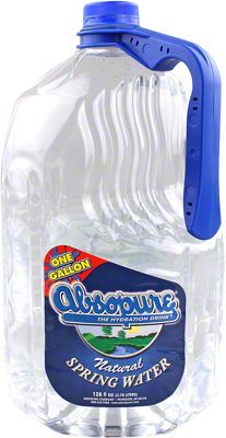 Absopure Natural Spring Water, 1 gal | Central Market - Really Into Food