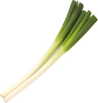 Negi Long Scallion | Central Market - Really Into Food