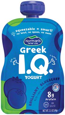 Norman's Blueberry IQ Greek Yogurt Pouch, 3.3 oz | Central Market ...