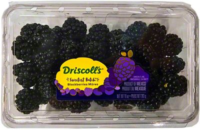 Driscoll's Sweetest Batch Blackberries, 10 oz | Central Market - Really ...