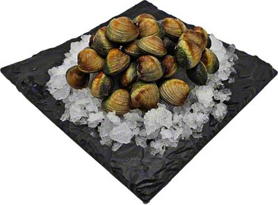 Live Cockle Clams, by lb | Central Market - Really Into Food