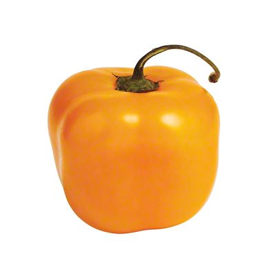 Orange Manzano Pepper | Joe V's Smart Shop | Low Prices & Quality Groceries