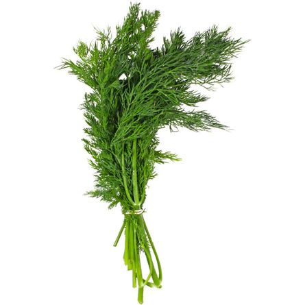 Fresh Dill, Bunch | Central Market - Really Into Food