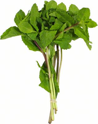 Fresh Mint, Bunch | Central Market - Really Into Food