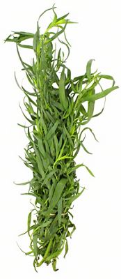 Fresh Tarragon, Bunch | Central Market - Really Into Food