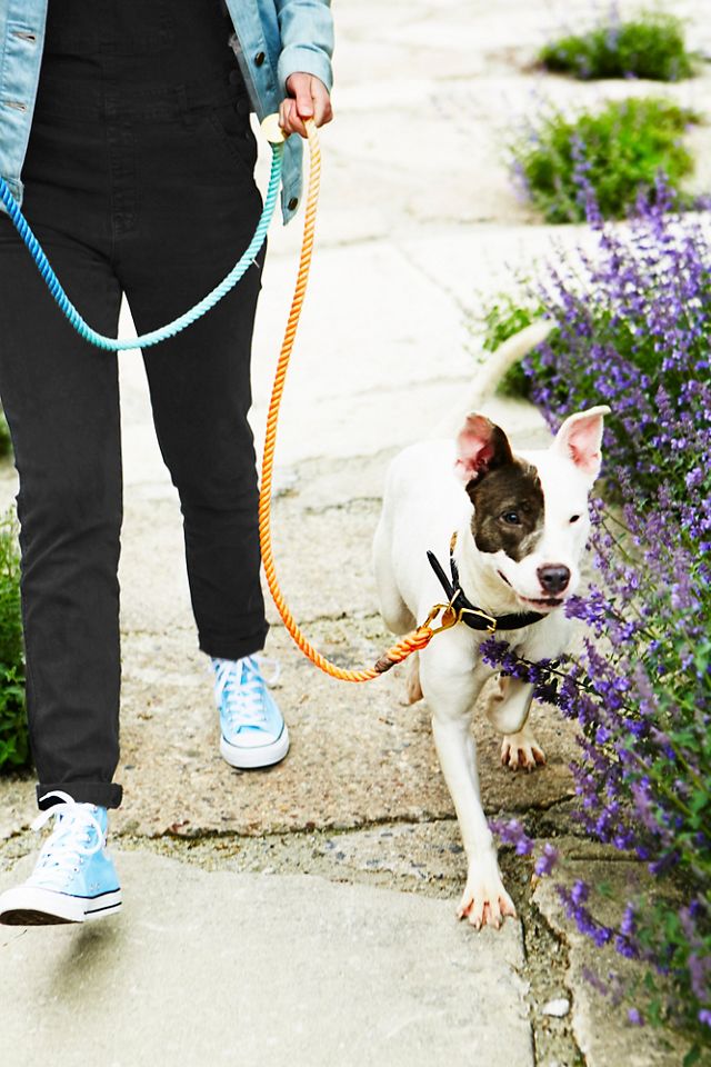 Tie Dye Rope Leash | Free People UK