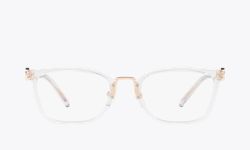 Image of Michael Kors Captiva color Silver