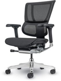 ErgoMax Executive Chair
