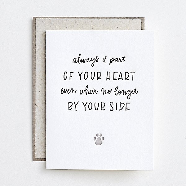 53 Thoughtful Sympathy Messages For The Loss Of A Pet, 52% OFF 53 Thoughtful Sympathy Messages For The Loss Of A Pet, 52% OFF