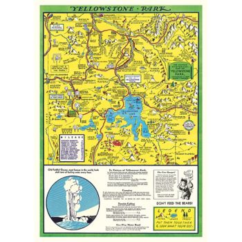 Yellowstone National Park Flat Wrap | Paper Source