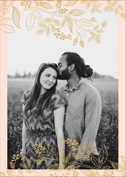 Queen Anne Wedding Invitations Queen Anne Hill, A Handwriting Font By