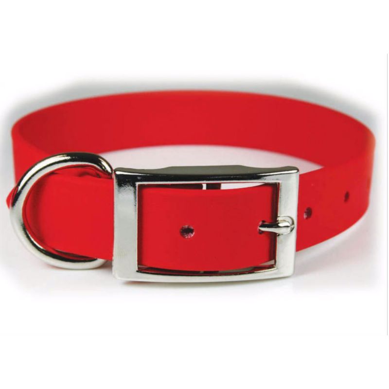 Zeta Poly Vinyl Coated Dog Collar - StateLineTack.com - StableSteals