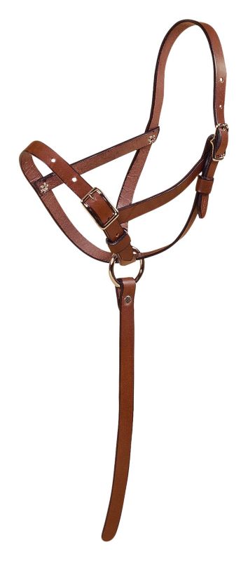 Tory Foal Slip Halter with Grab Strap - StateLineTack.com - WarehouseOutlet