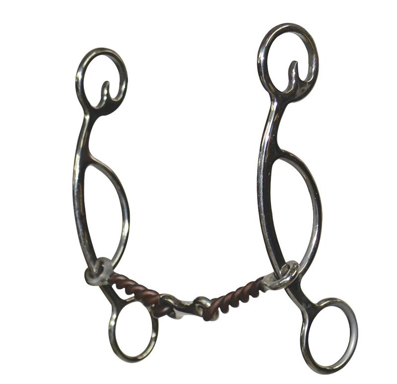 Reinsman Charmayne James Ryan Sliding Gag Bit - Statelinetack.com