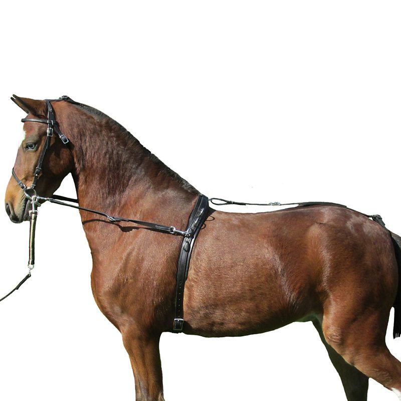 Ozark Leather Bitting - StateLineTack.com - EndOfSummerClearance