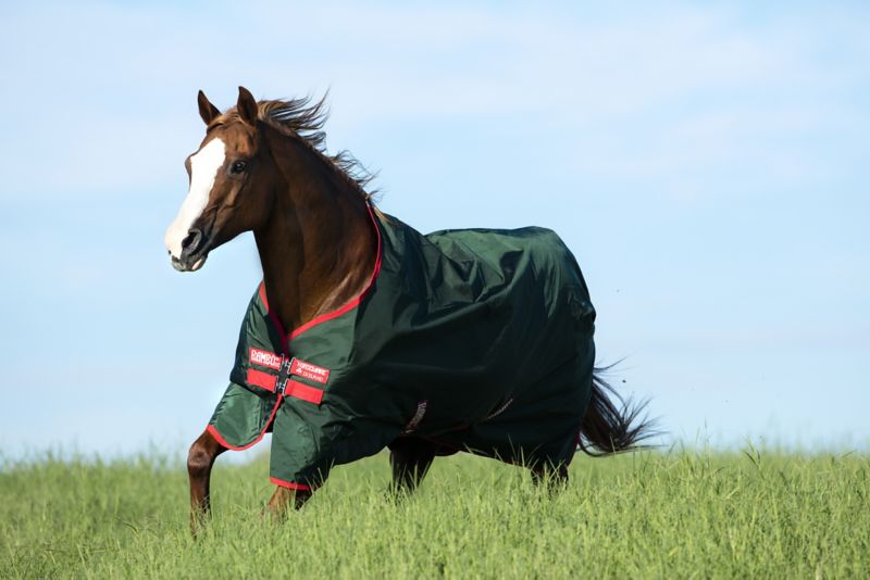 Rambo Original Turnout Lite 0g 81 Green/Red - StateLineTack.com