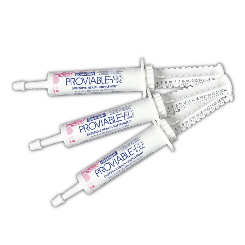 Proviable Paste 30ml 3-Pack - StateLineTack.com