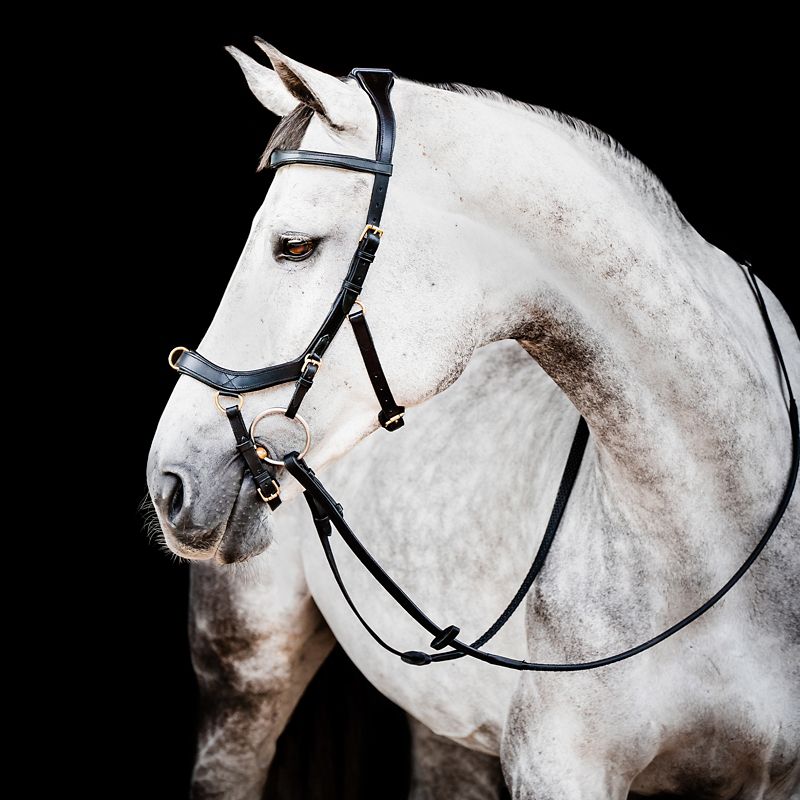 Horseware Micklem 2 Multi Bridle - StateLineTack.com - StableSteals