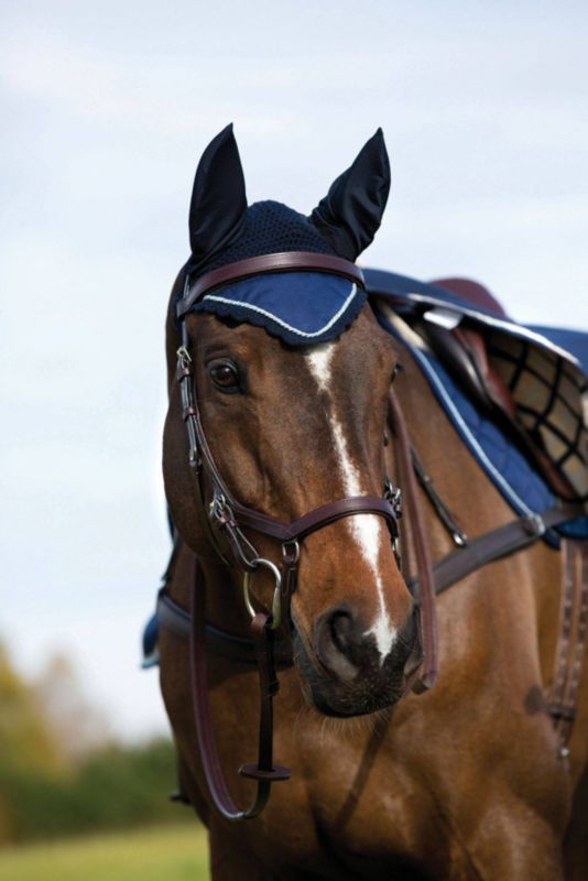 Rambo Grand Prix Ear Net Navy/Beige - StateLineTack.com