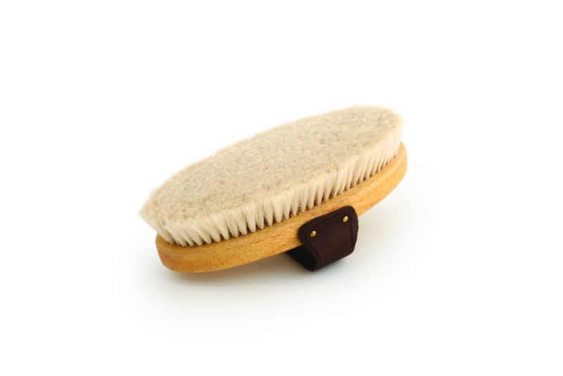 Legends Premium Goat Hair Body Brush - StateLineTack.com - StableSteals