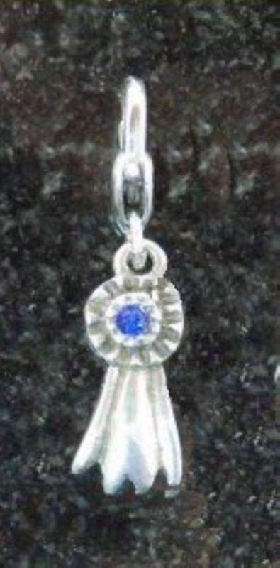 Barbary Blue Ribbon Charm - StateLineTack.com