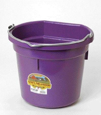 Little Giant Plastic Flatback Bucket 8 Qt Purple - StateLineTack.com