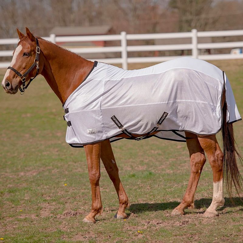 Tuffrider Sport Mesh Fly Sheet 75 White - StateLineTack.com