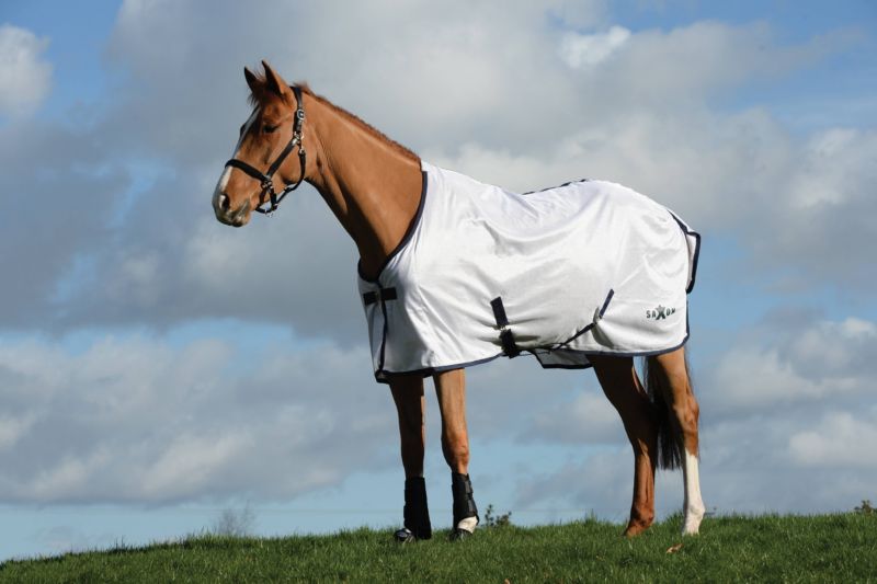 Saxon Mesh Standard Neck Fly Sheet - StateLineTack.com