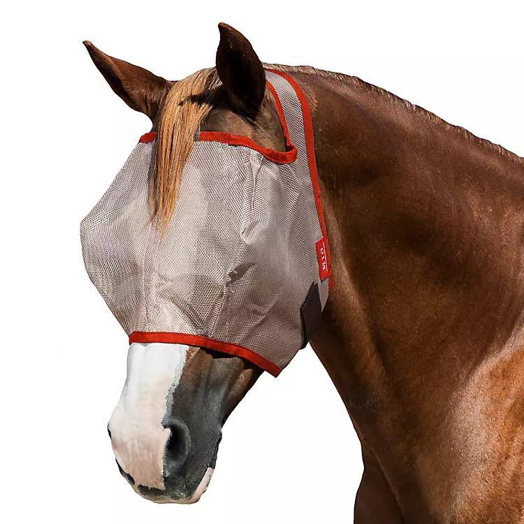 Mio Fly Mask No Ears - StateLineTack.com - StableSteals