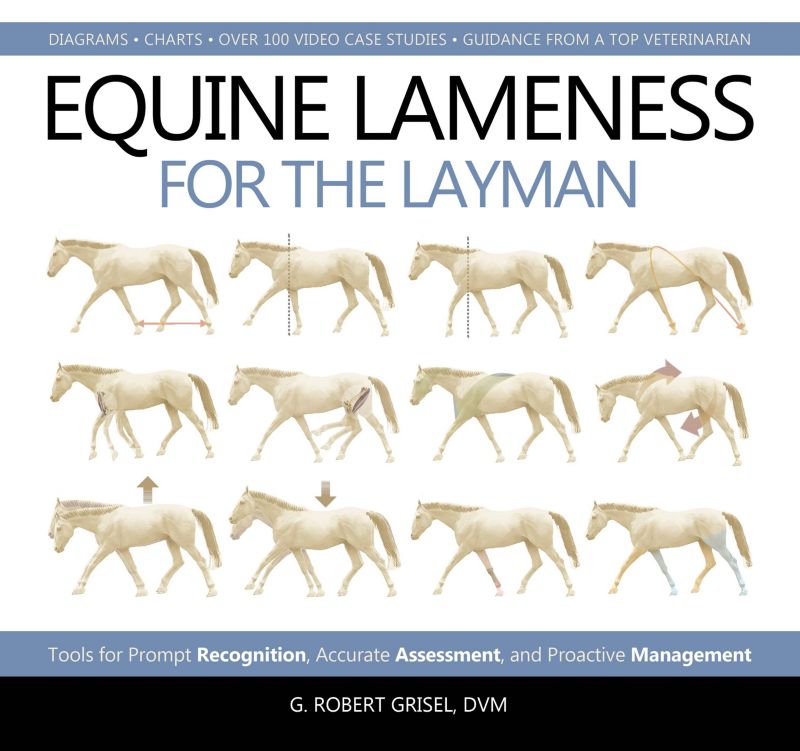Equine Lameness for the Layman 264 Pages - StateLineTack.com