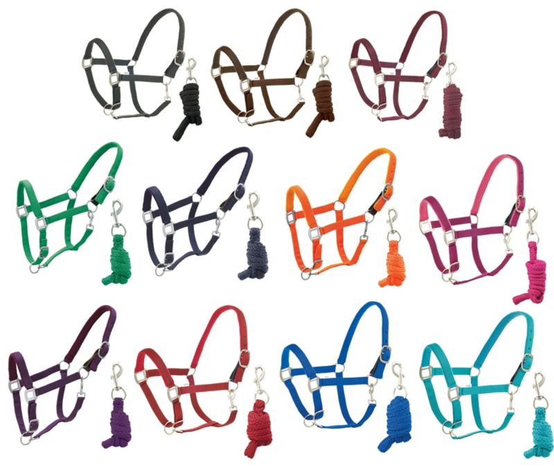 Centaur Solid Halter w/Lead Horse Navy - StateLineTack.com