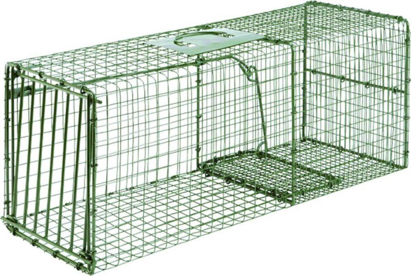 Heavy Duty Live Animal Cage Trap 30X12X12in Green - StateLineTack.com