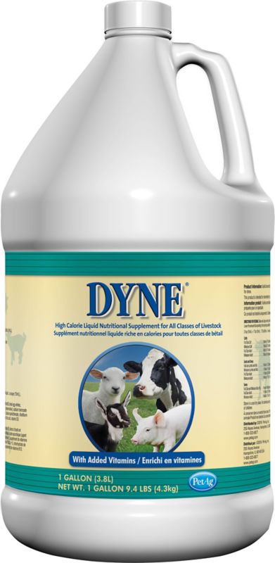 Dyne High Calorie Liquid For Livestock 128 oz - StateLineTack.com