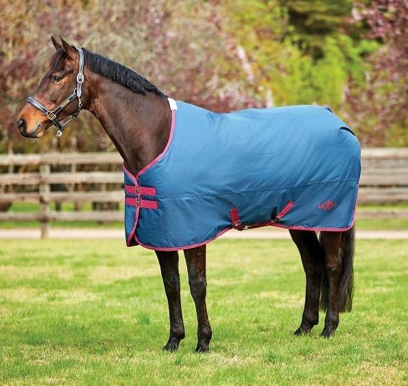 Saxon Mesh Standard Neck Lite - StateLineTack.com