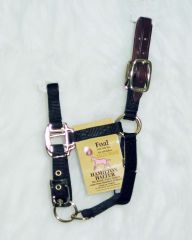Hamilton Foal Halter w/Crown 12x6.5x1.5 Black - StateLineTack.com